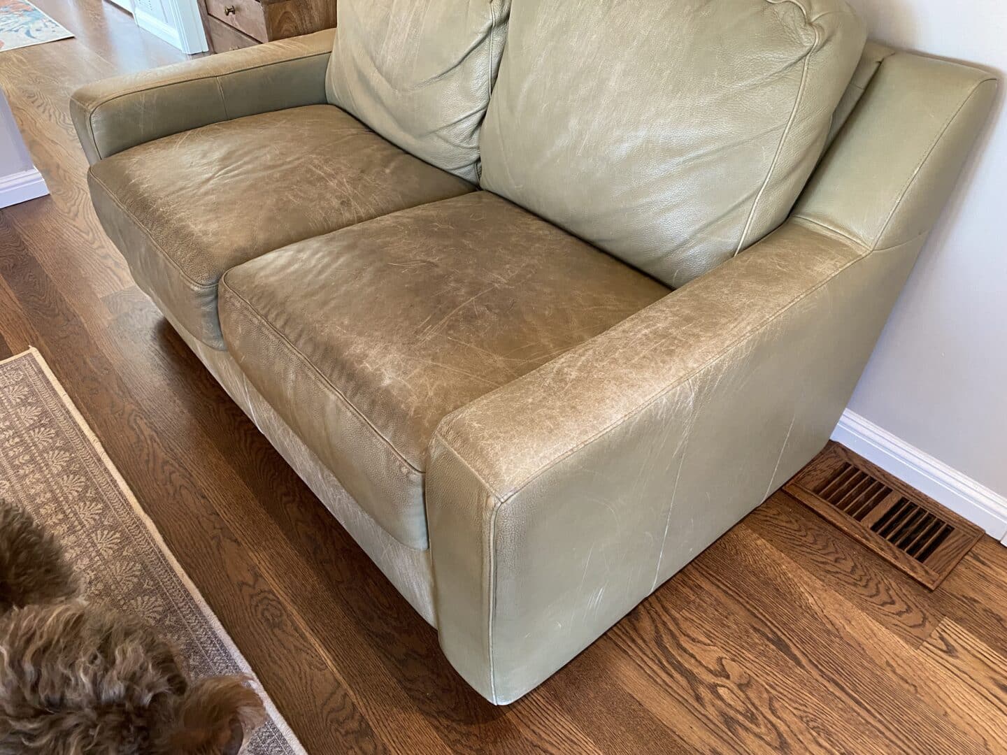 Matching Leather Paint - Customized Color for Furniture