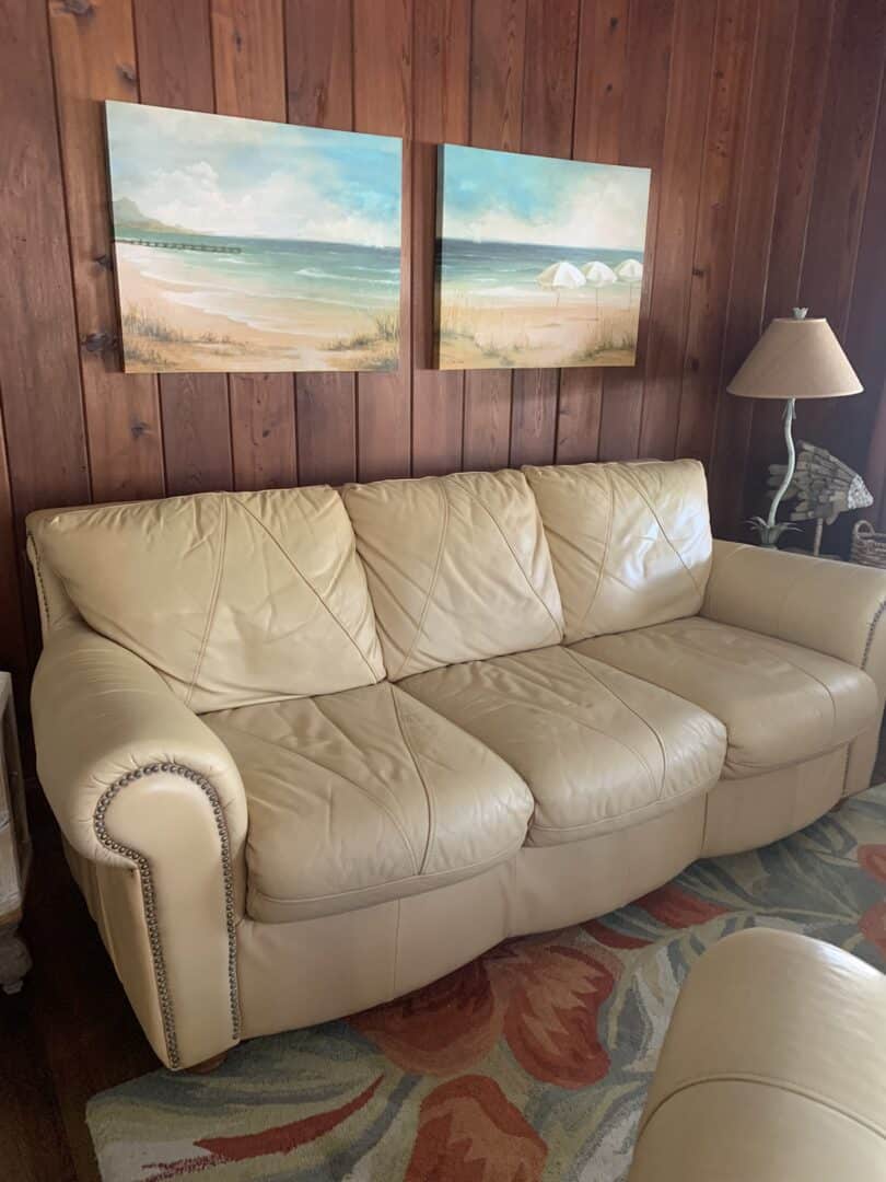 Matching Leather Paint - Customized Color for Furniture