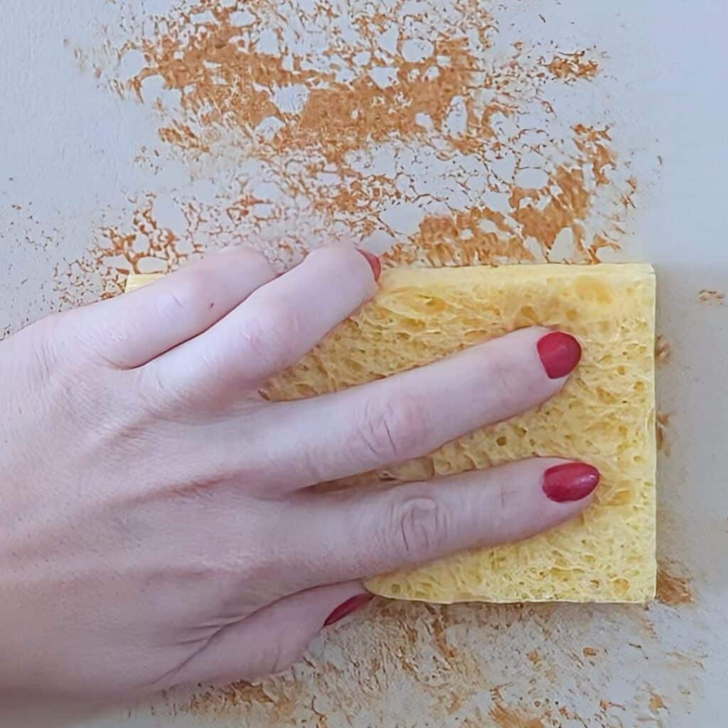 Vinyl/Leather Dye Sponge | Cellulose Cleaning Sponge