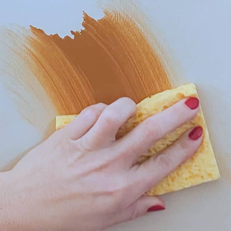 Vinyl/Leather Dye Sponge | Cellulose Cleaning Sponge