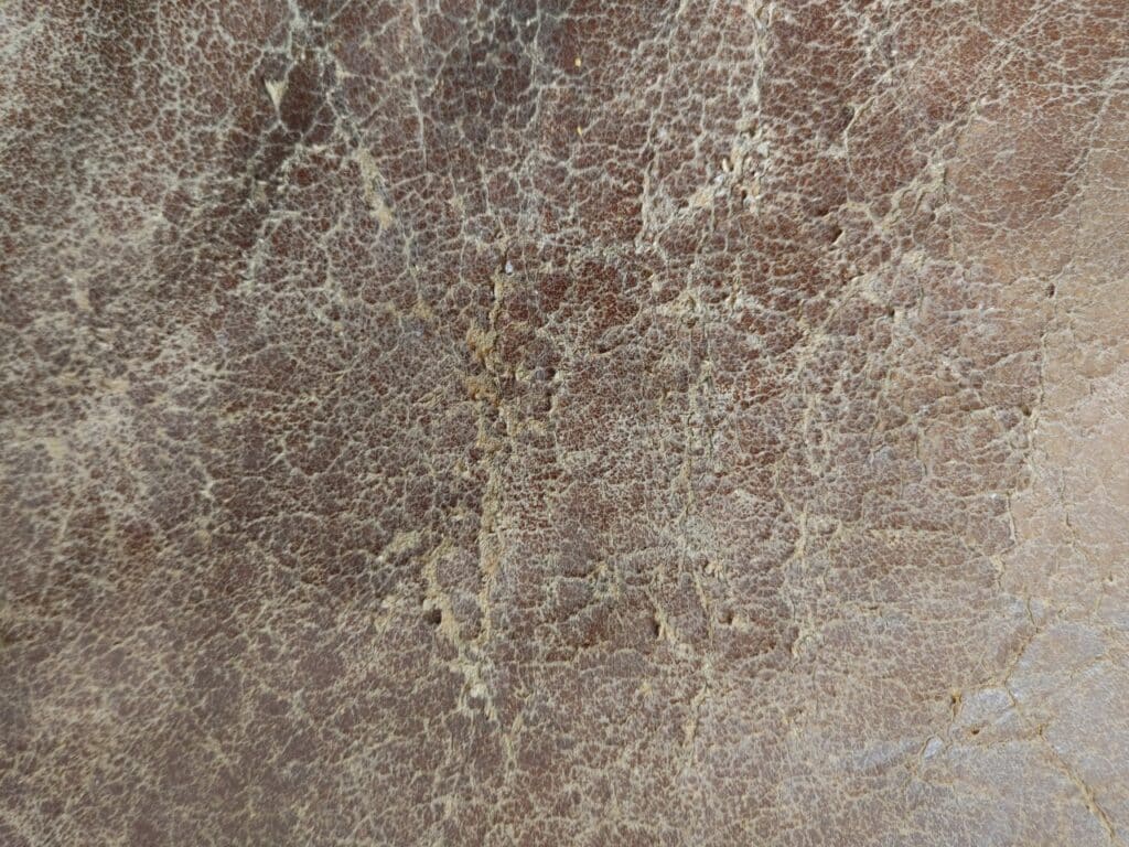 Repair Scaly, Cracking, Sun-Damaged Leather or Vinyl