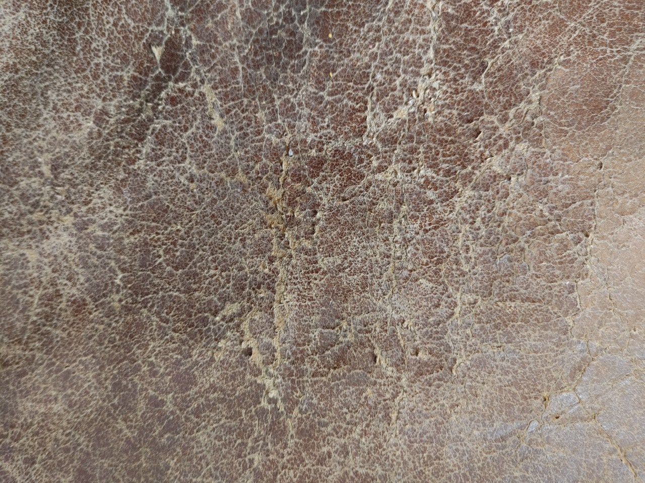 Repair Scaly, Cracking, Sun-Damaged Leather or Vinyl