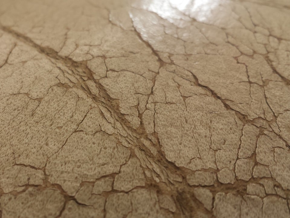 Leather Cat Scratch Repair Kit | Leather Scratch Restorer